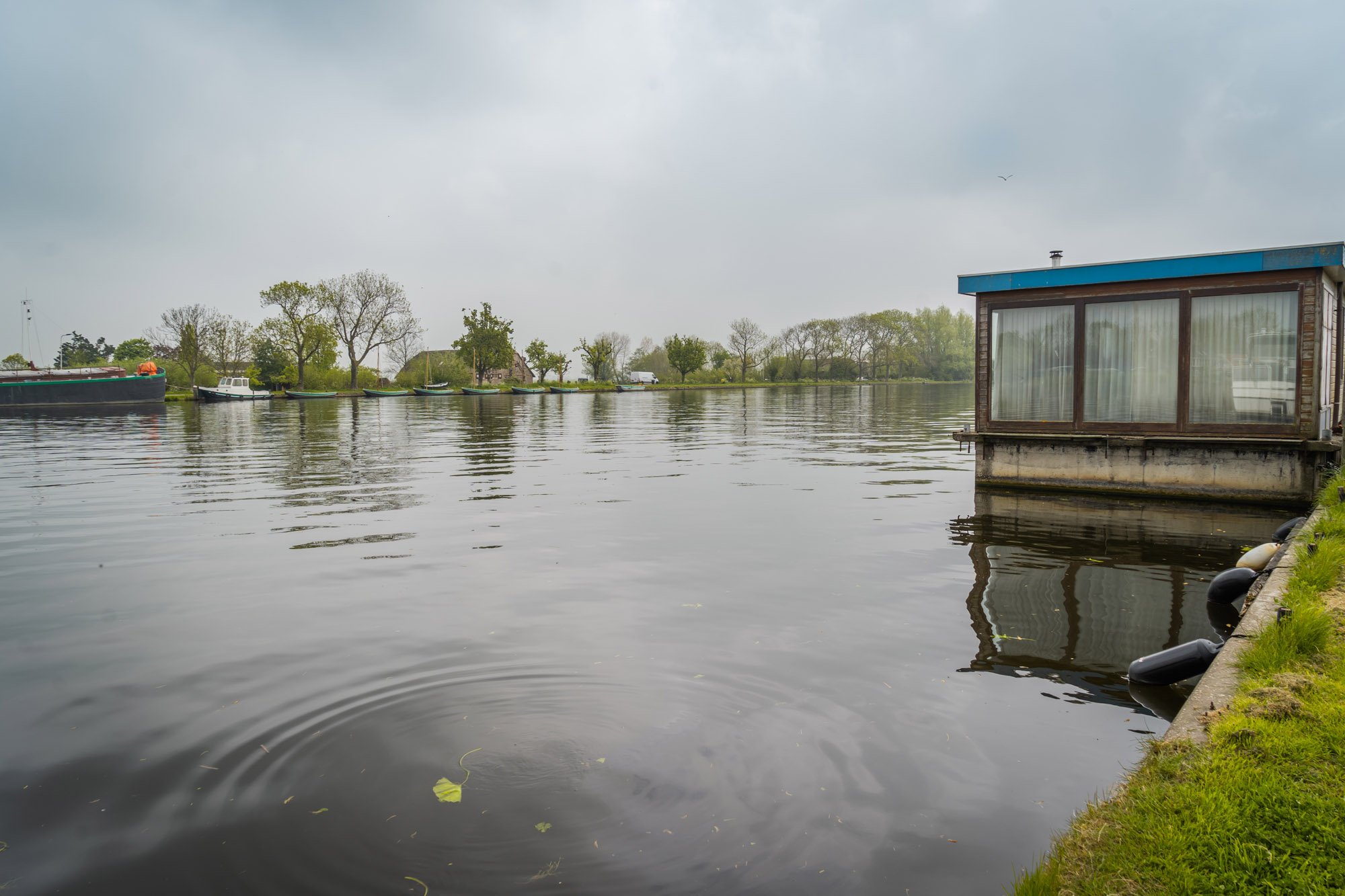 Rijnland legt vissenbossen aan voor betere ecologische waterkwaliteit ...